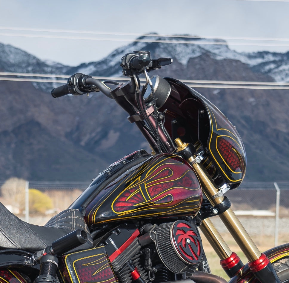 Dyna With Motocross Bars